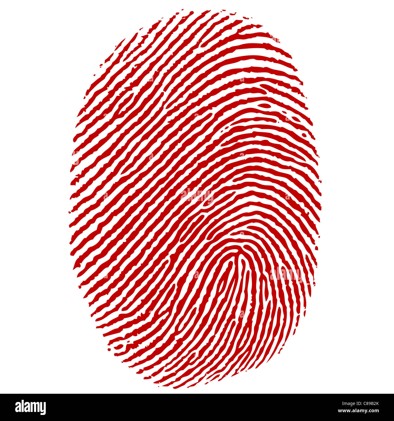 illustration of thumb impression on white background Stock Photo - Alamy