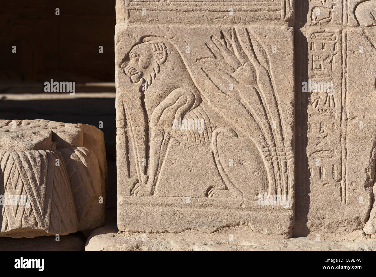 Relief of Lion facing to the left on gateway at the Temple of Hathor ...