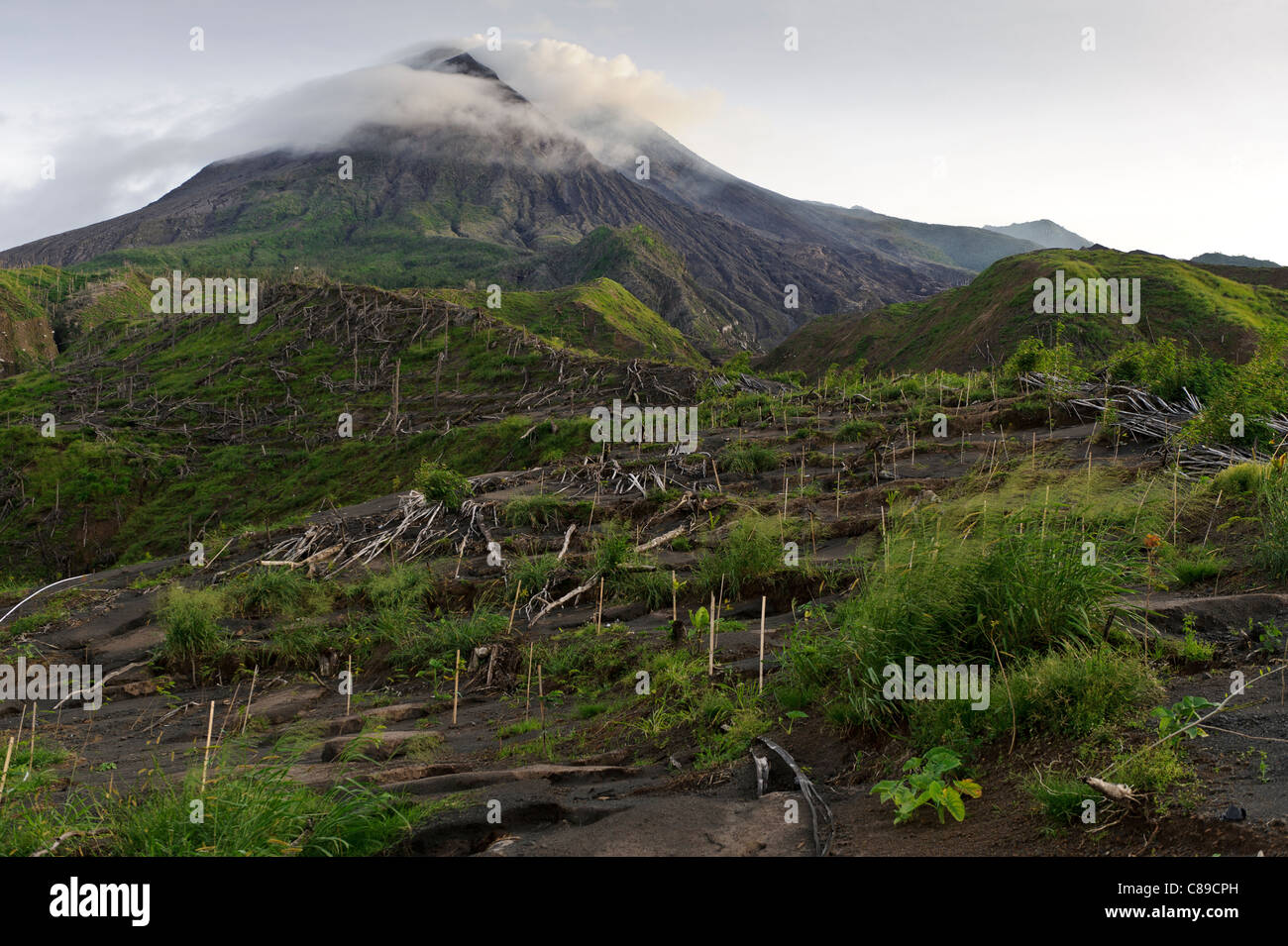 Gunung Merapi volcano from Kinahrejo, Yogyakarta, Java, Indonesia Stock ...