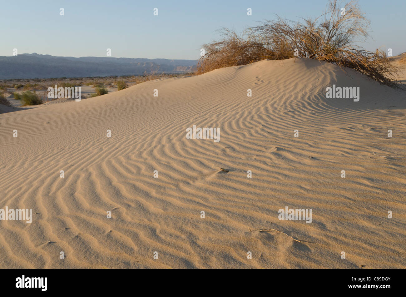 the Samar Sand Dunes. Arava valley. Israel Stock Photo - Alamy