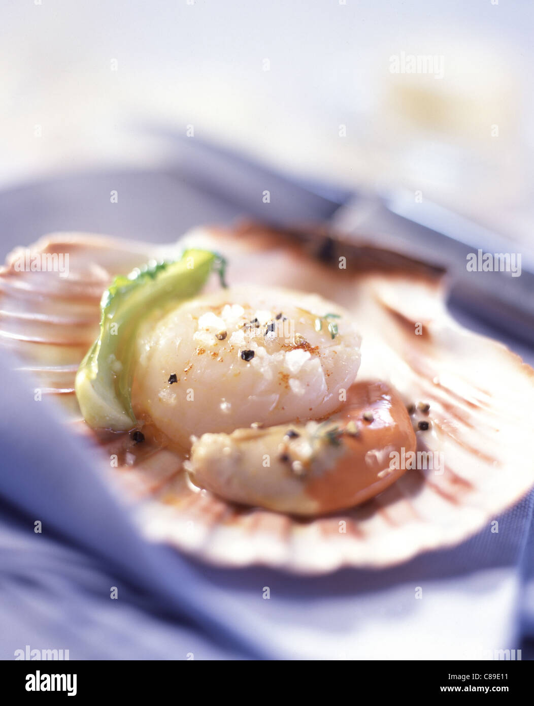 Scallop in shell Stock Photo - Alamy
