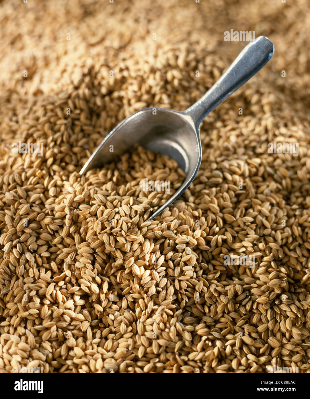 Heap of rice Stock Photo - Alamy
