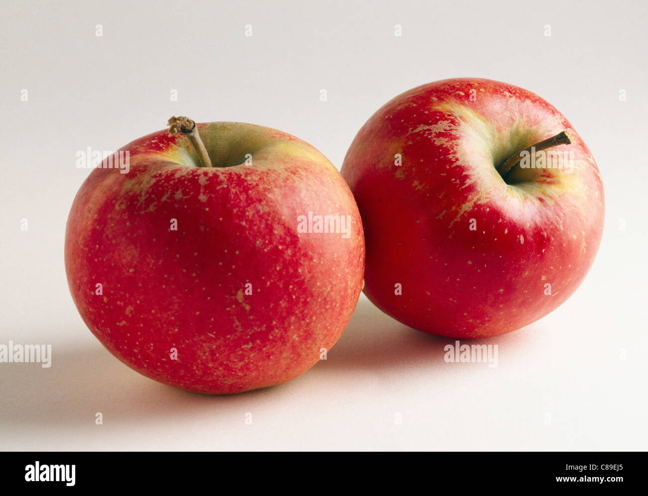 Elstar apples hi-res stock photography and images - Alamy