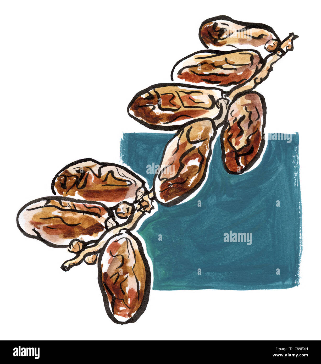 Drawing dates hi-res stock photography and images - Alamy