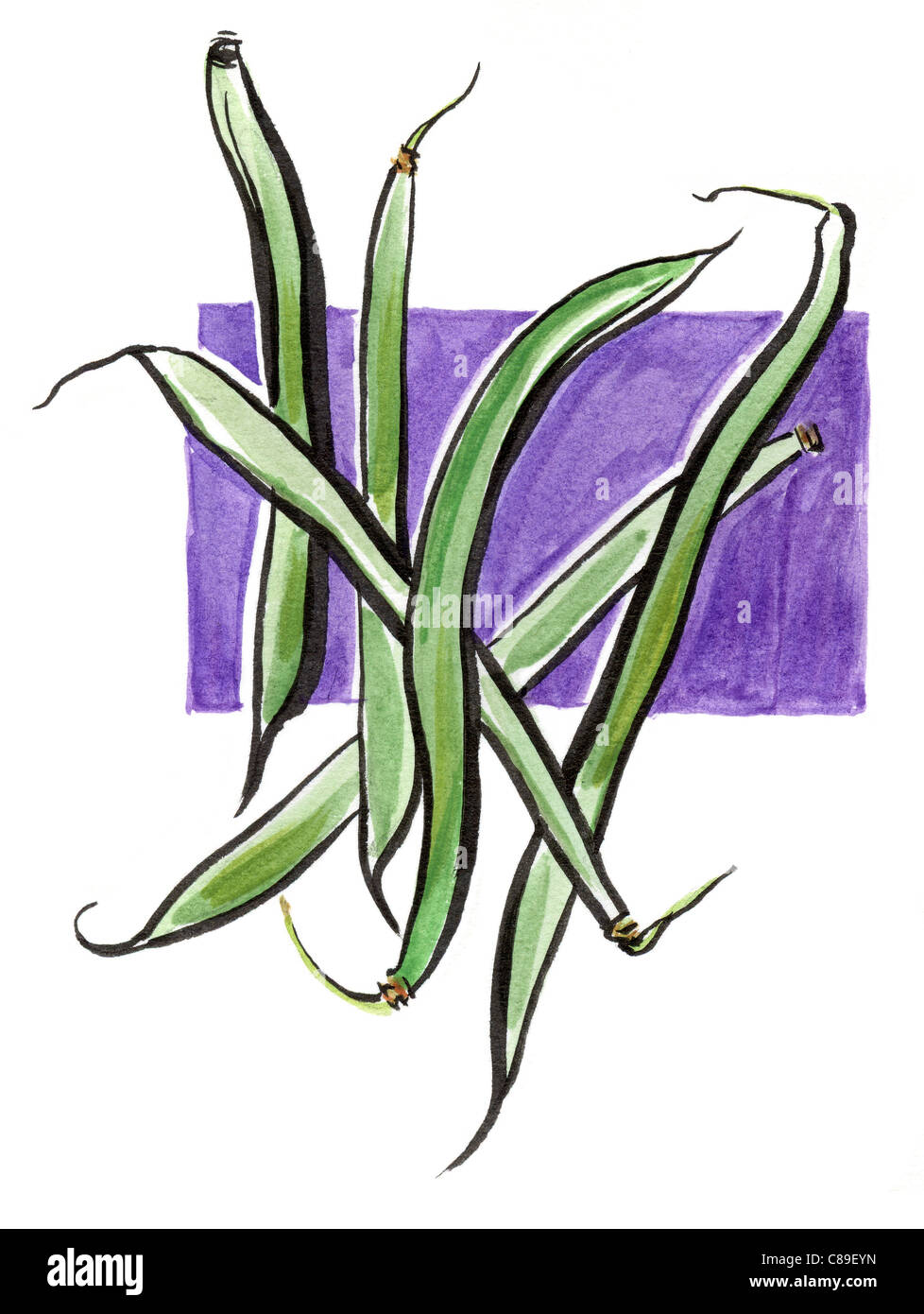 String beans illustration hi-res stock photography and images - Alamy