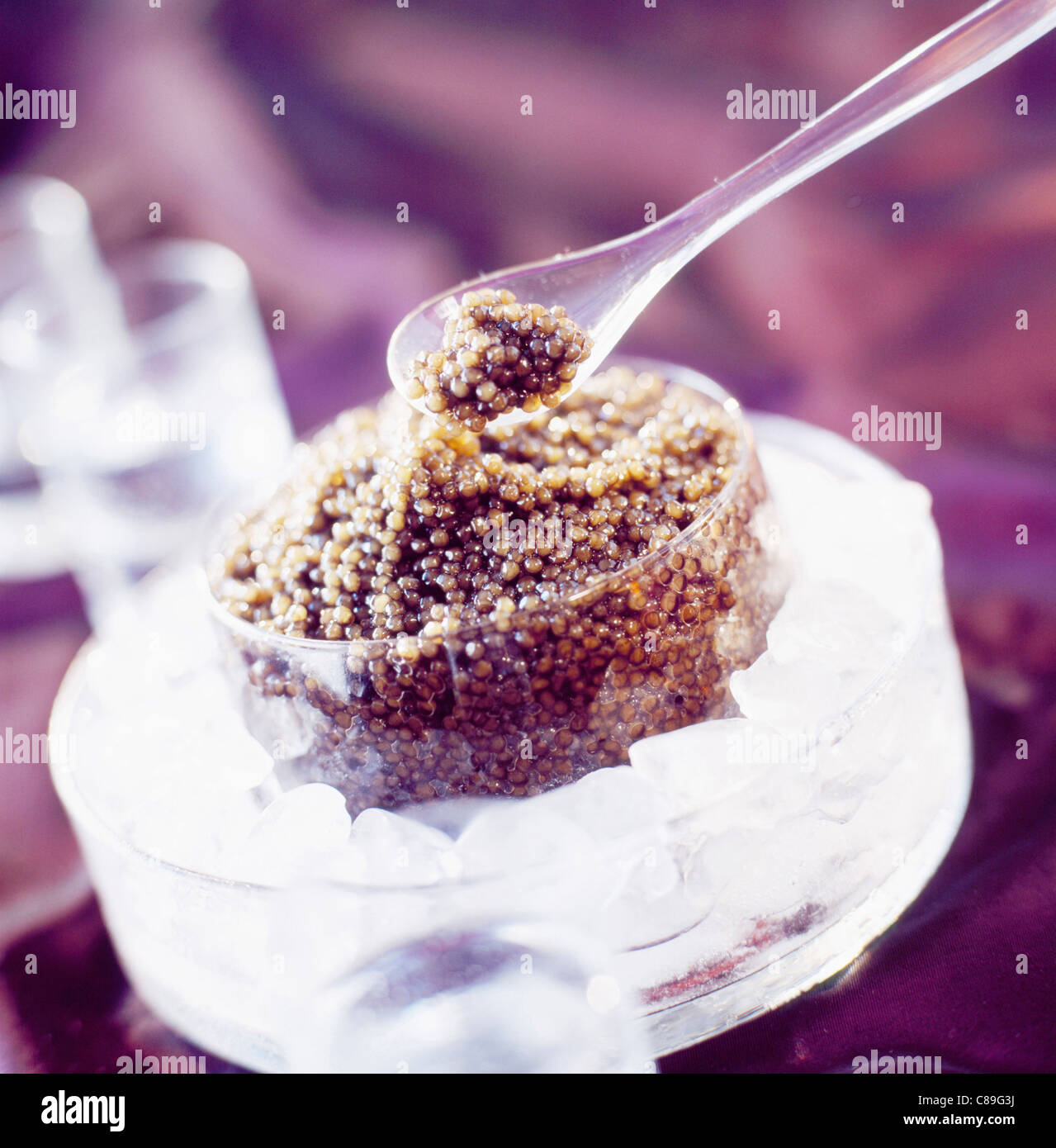 Ossetra caviar hi-res stock photography and images - Alamy