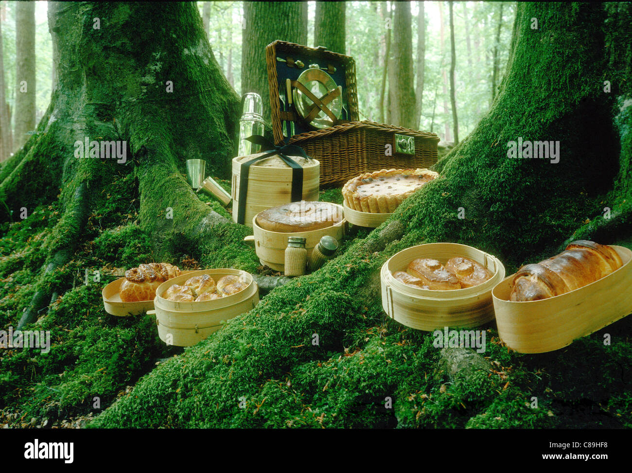 Picnic in the forest Stock Photo - Alamy