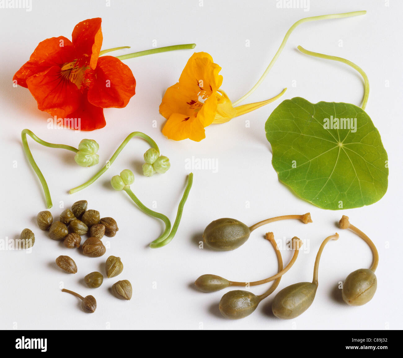 Capers and nasturiums Stock Photo - Alamy