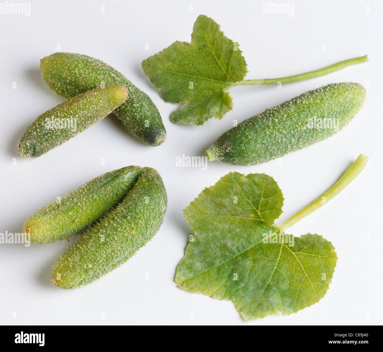 Cut out gherkins hi-res stock photography and images - Alamy