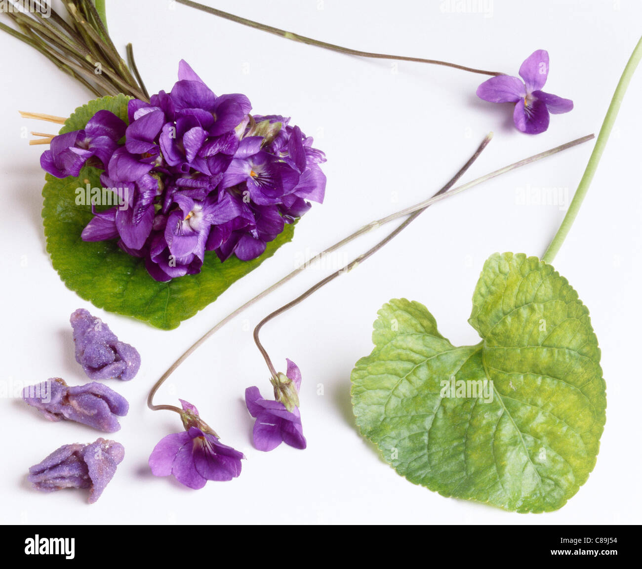Bunch Of Violets High Resolution Stock Photography and Images - Alamy