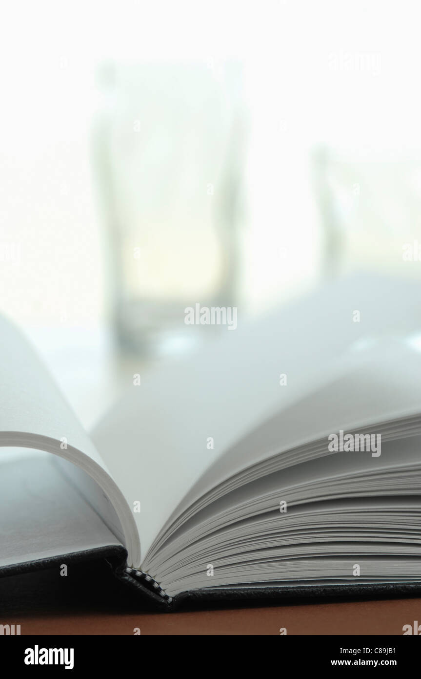 Diary pages hi-res stock photography and images - Alamy