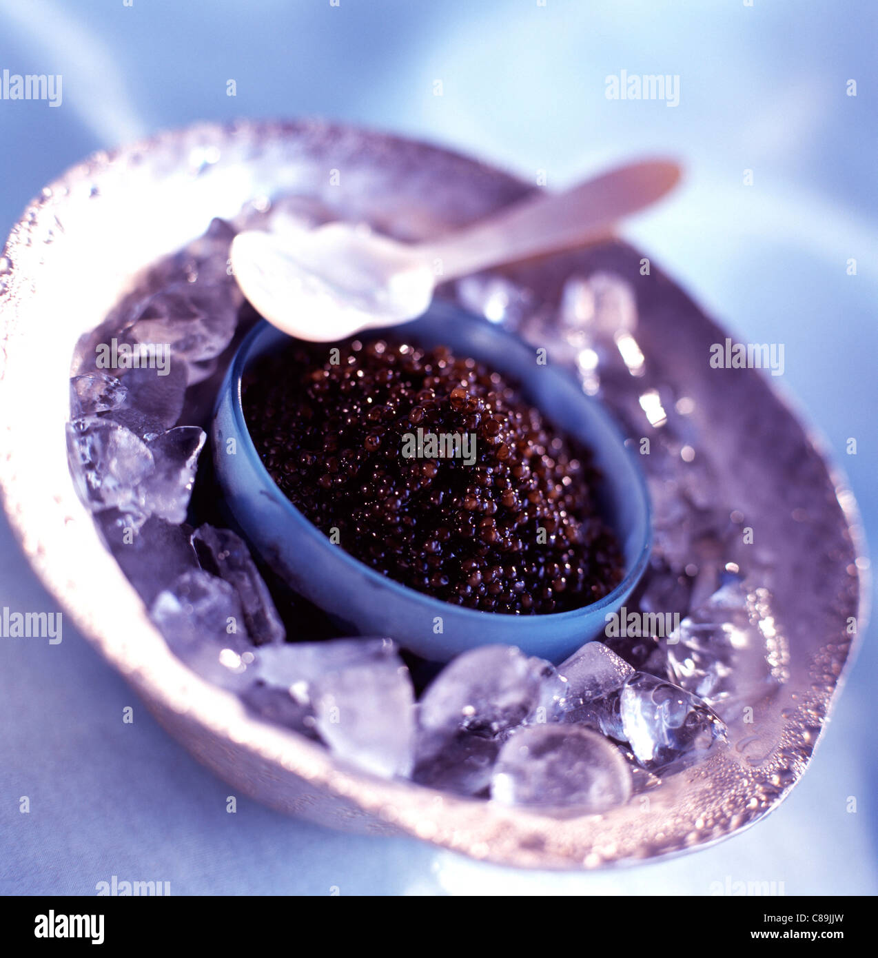 Caviar sturgeon ice hi-res stock photography and images - Alamy