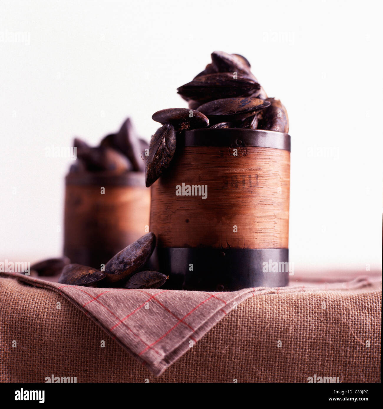 Measuring shell hi-res stock photography and images - Alamy