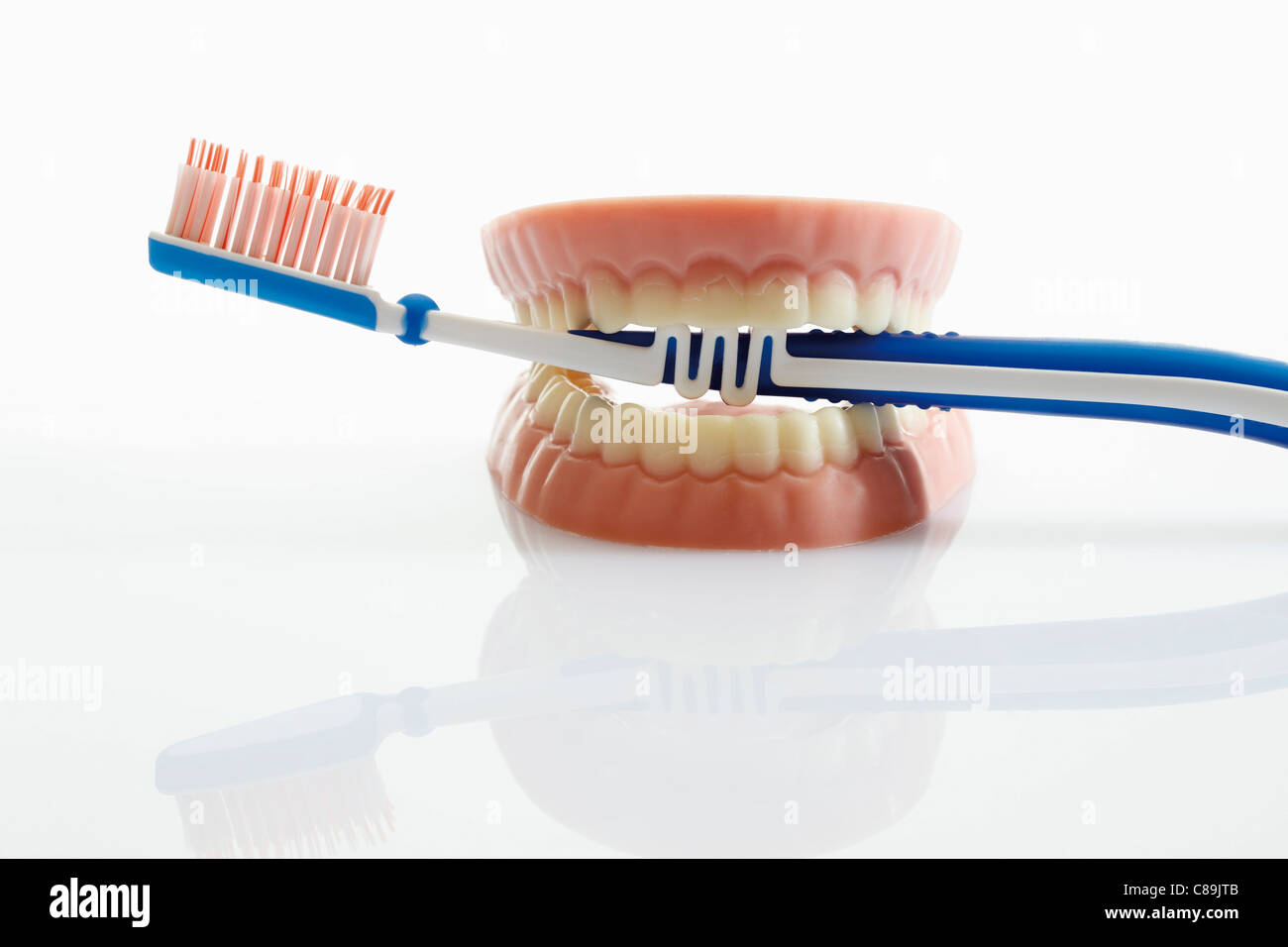 Dentures made of sugar and white chocolate with toothbrush on white ...