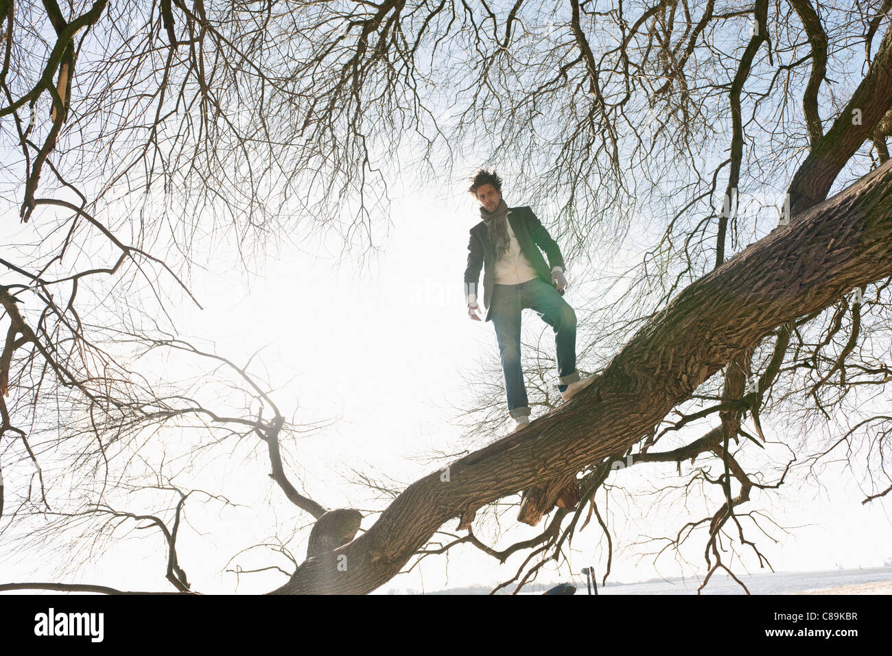 Germany, Hamburg, Man standing on tree branch Stock Photo - Alamy