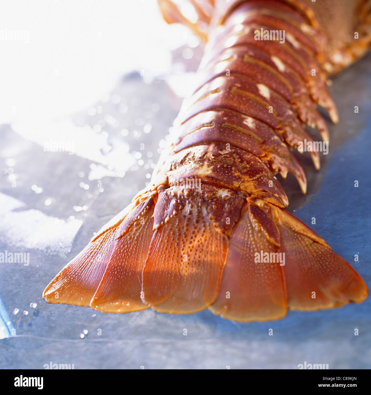 Single lobster tail hi-res stock photography and images - Alamy