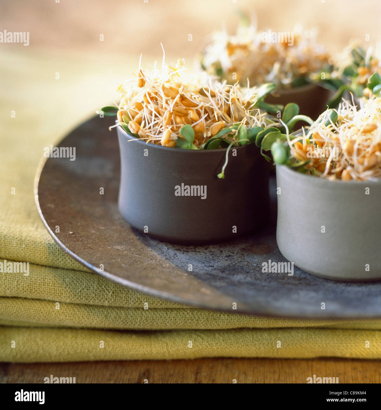 Sprouting seeds mixed with sunflower shoots Stock Photo - Alamy