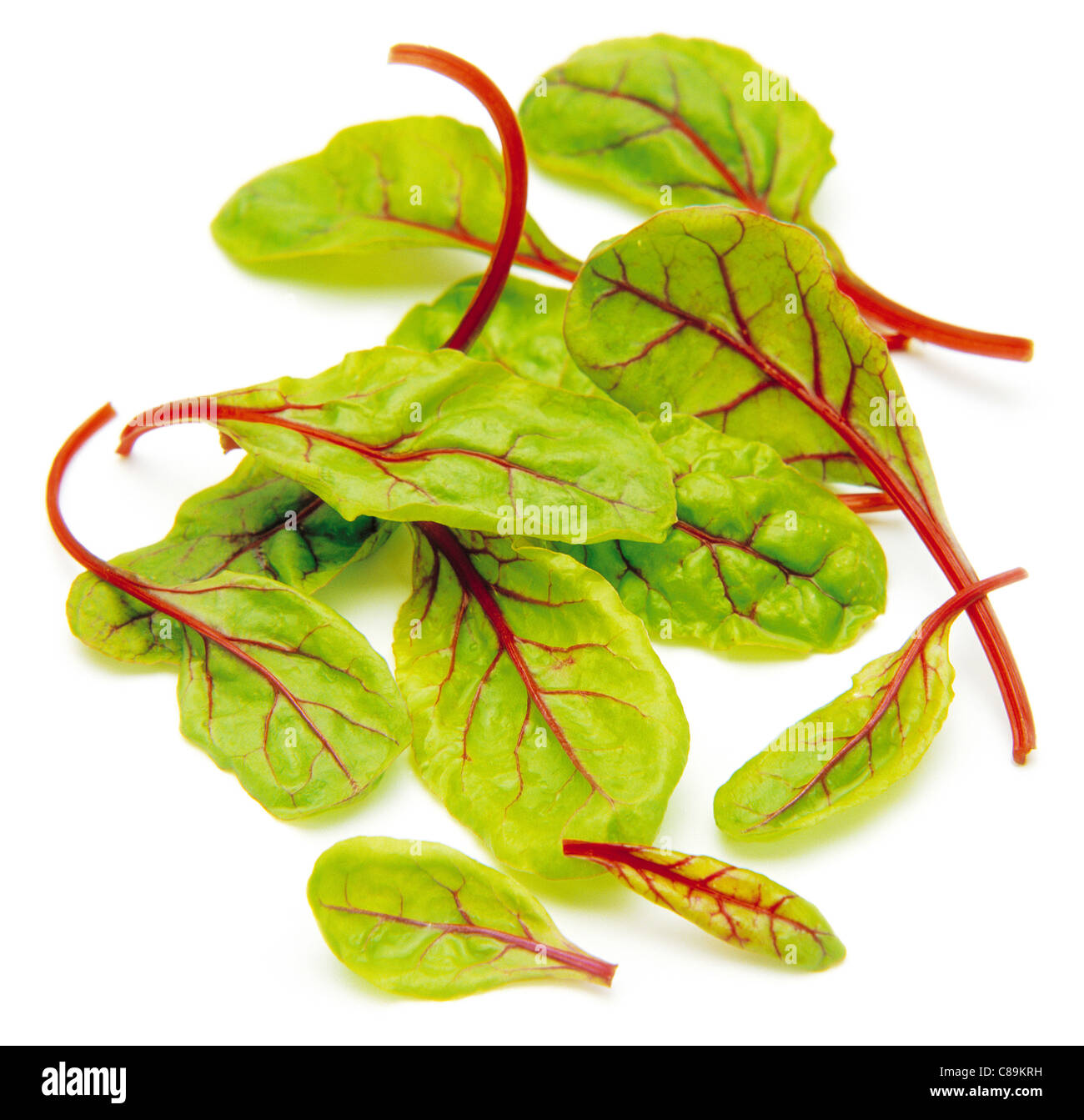 Beetroot shoot hi-res stock photography and images - Alamy