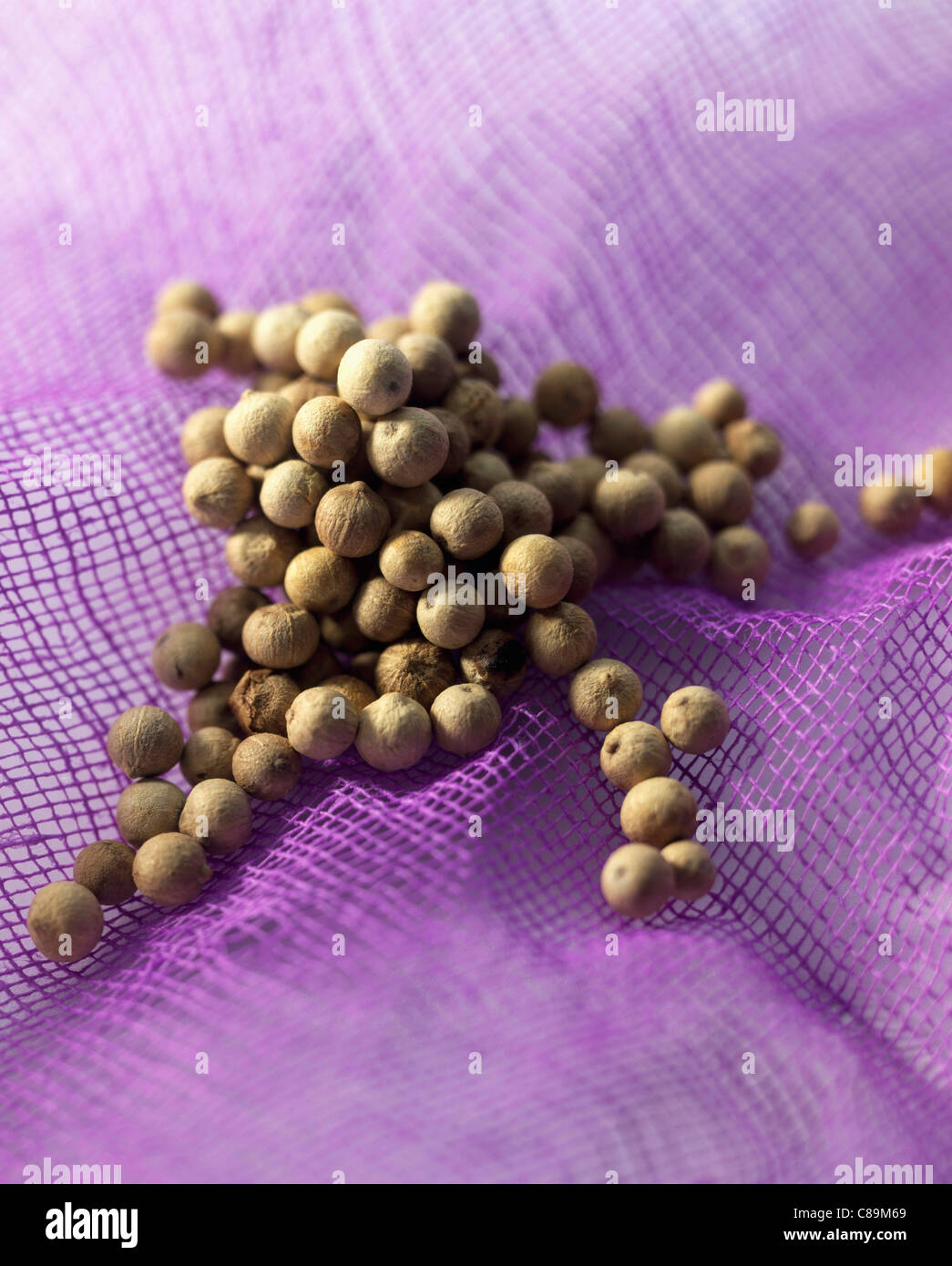 Penja white pepper from Cameroon Stock Photo - Alamy
