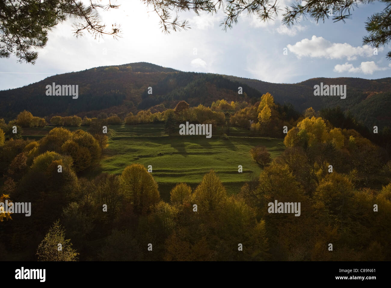 Autumn scene, Rodopi mountain, Balkans, Bulgaria, Eastern Europe Stock ...