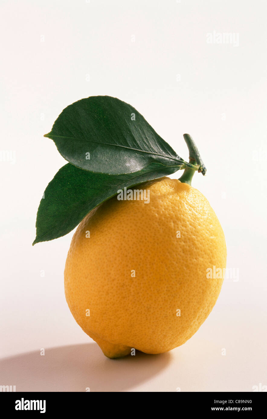 Lemon with leaves Stock Photo - Alamy