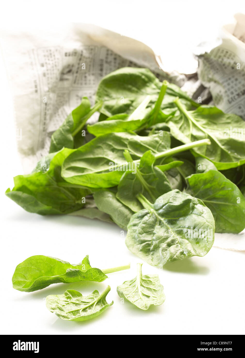 Fresh shoot shoots hi-res stock photography and images - Alamy