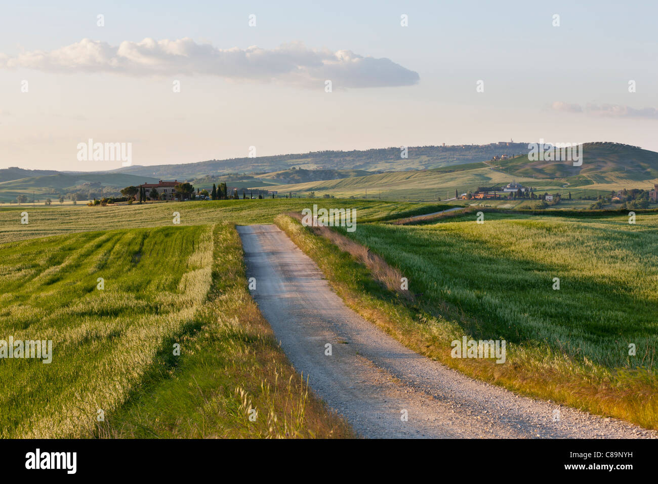 Italy, Tuscany, Crete, Val d'Orcia, View of path towards farm Stock ...