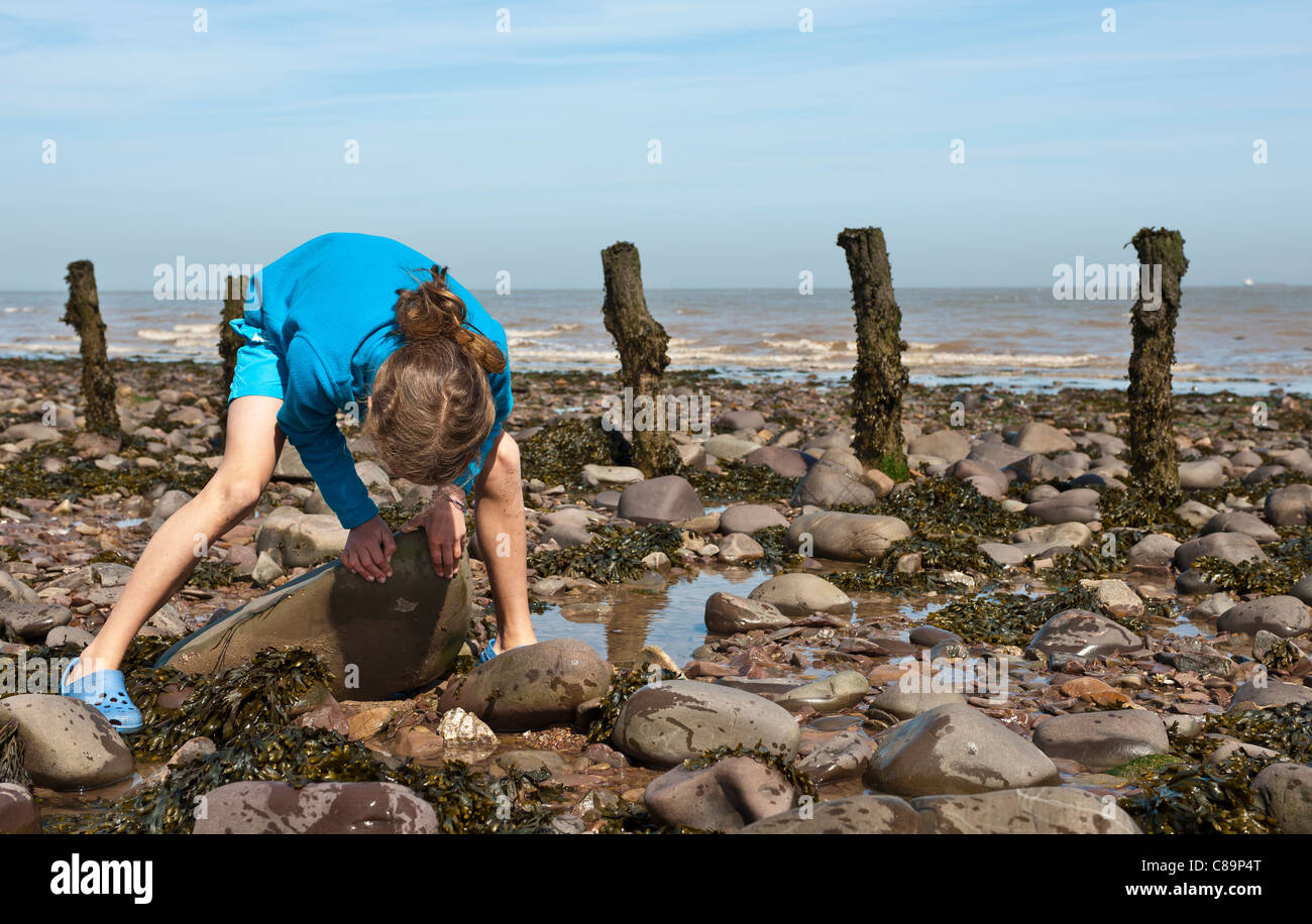 Child looking under rock hi-res stock photography and images - Alamy