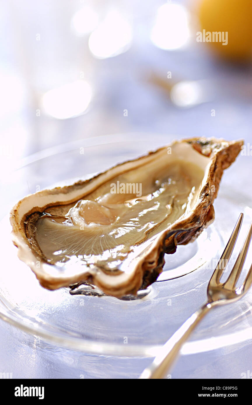 Opened Fine de Claire oyster Stock Photo - Alamy