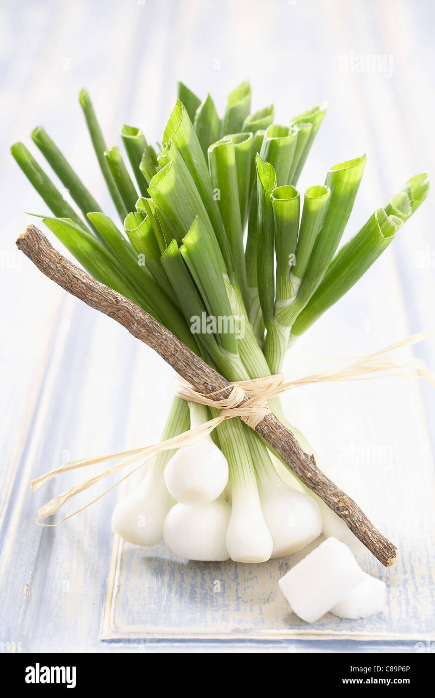 Onion stick hi-res stock photography and images - Alamy
