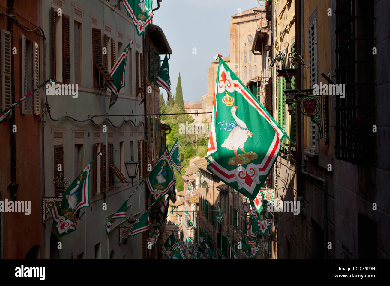 Italy, Tuscany, Siena, View of coloured flags hanging on building walls ...