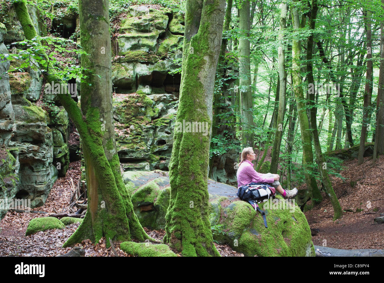 Germany Rhineland-Palatinate South Eifel Nature Park Woman hiker ...