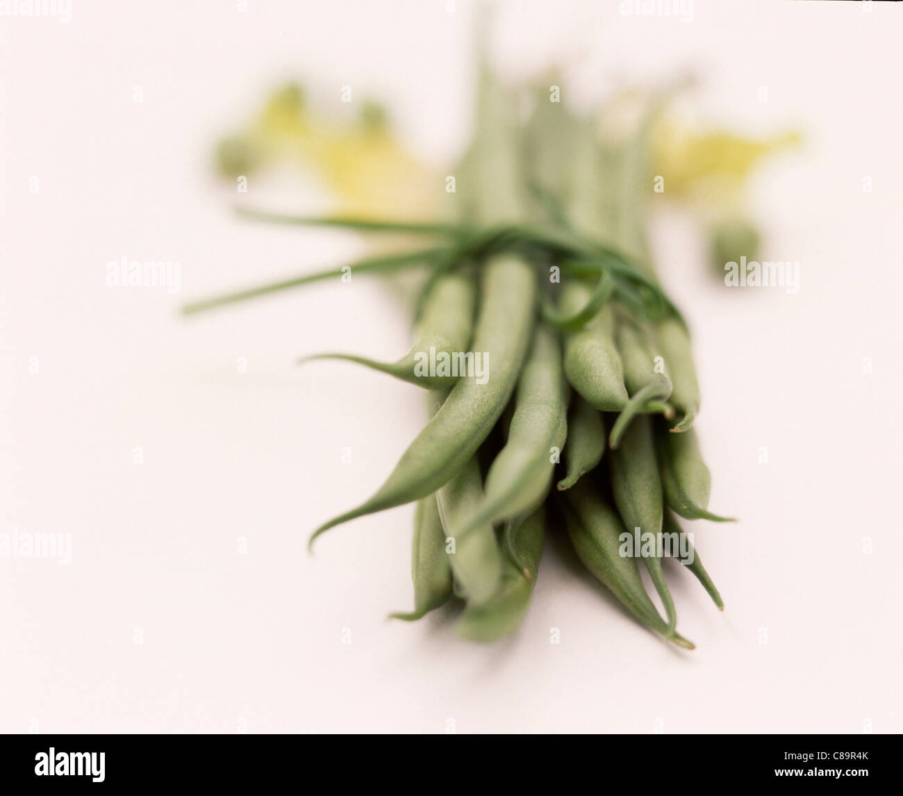 Bundle of French beans Stock Photo - Alamy