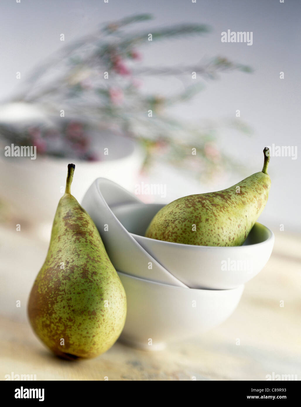 Conference pear flower hi-res stock photography and images - Alamy