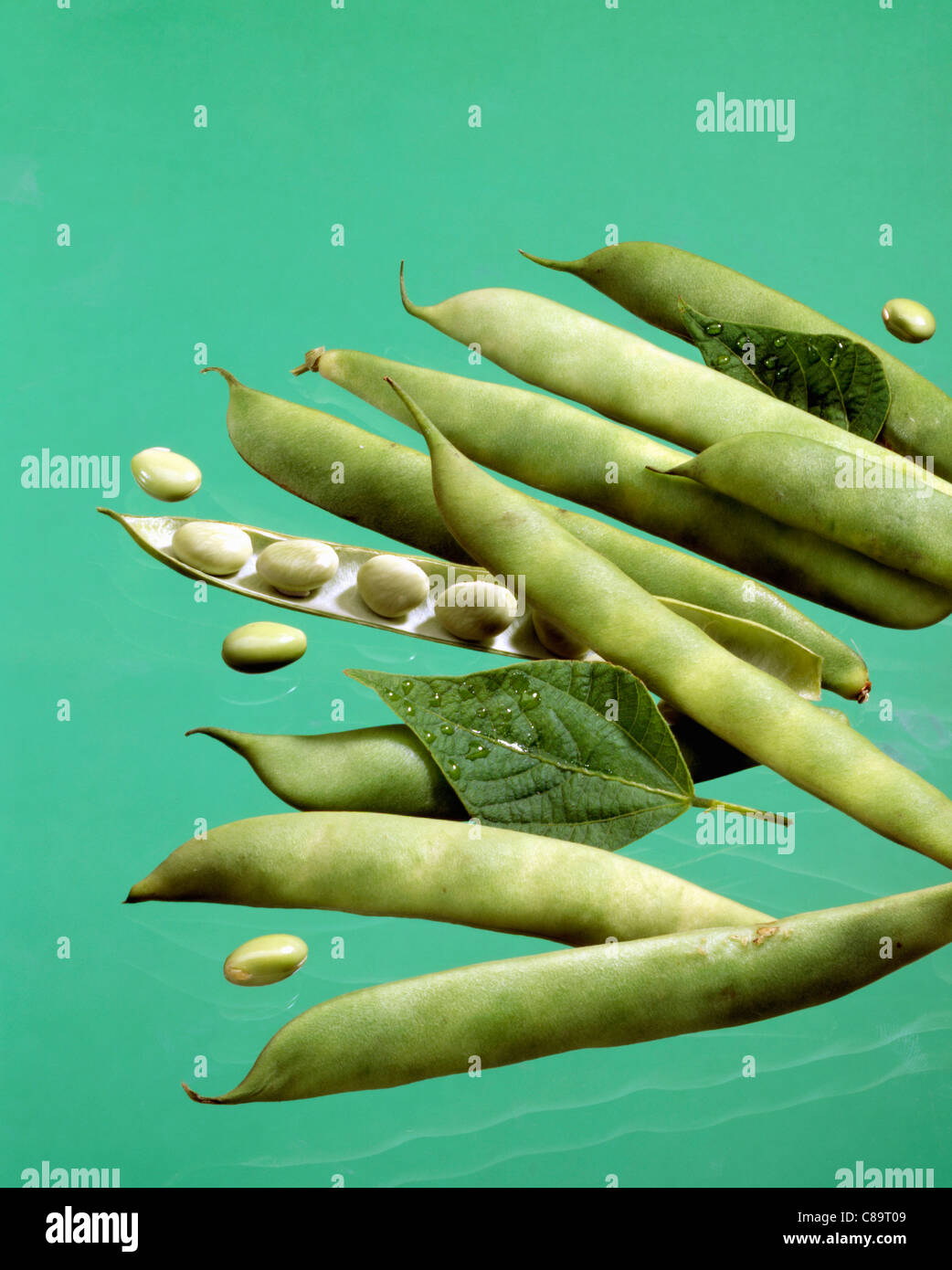 Broad bean pod cut out hi-res stock photography and images - Alamy
