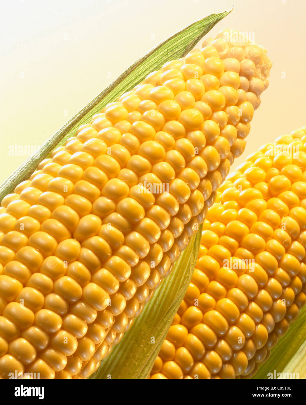 Corn on the cob Stock Photo - Alamy
