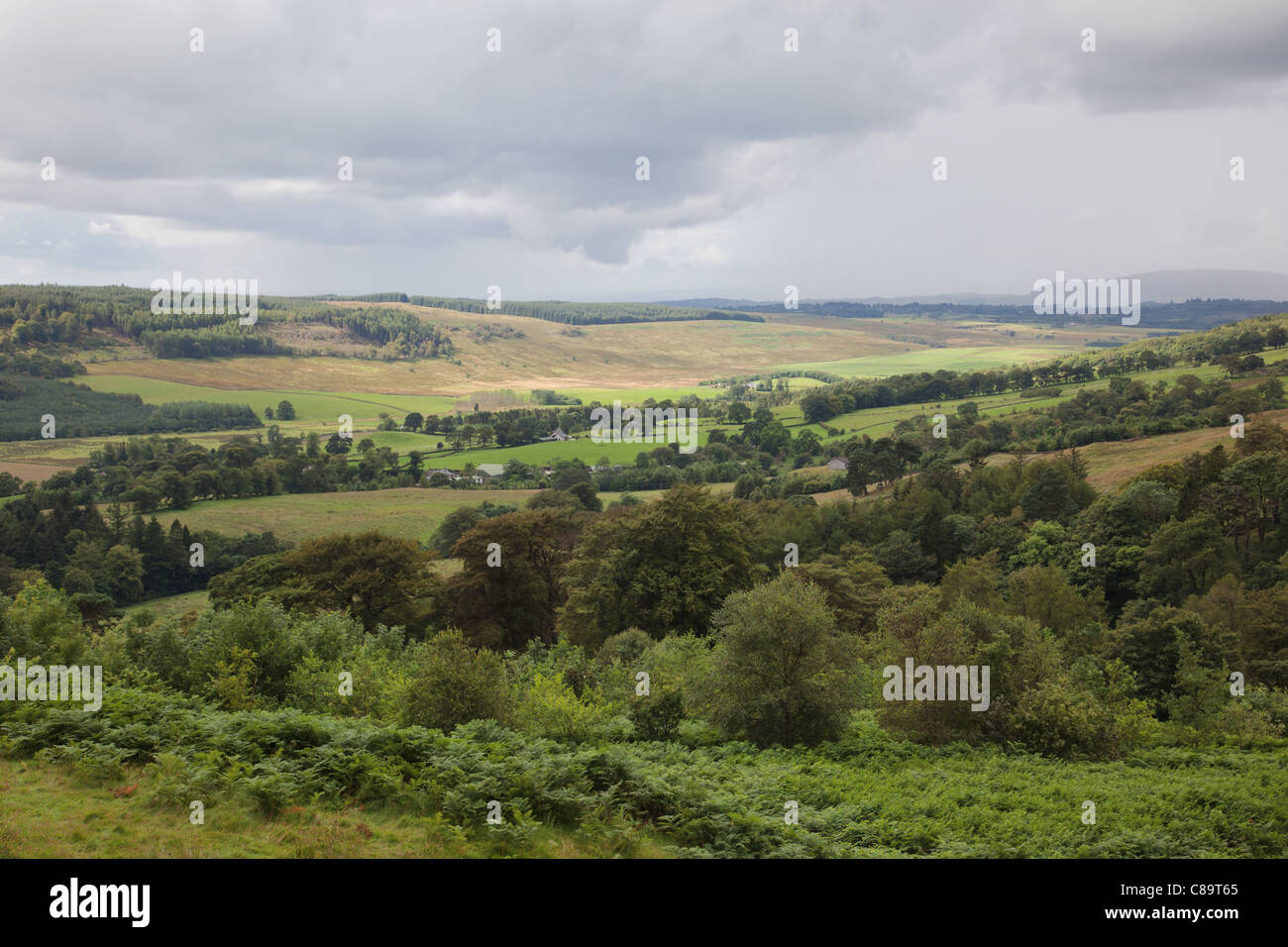 Campsie Fells near Strathblane and Netherton in Scotland, UK Stock ...