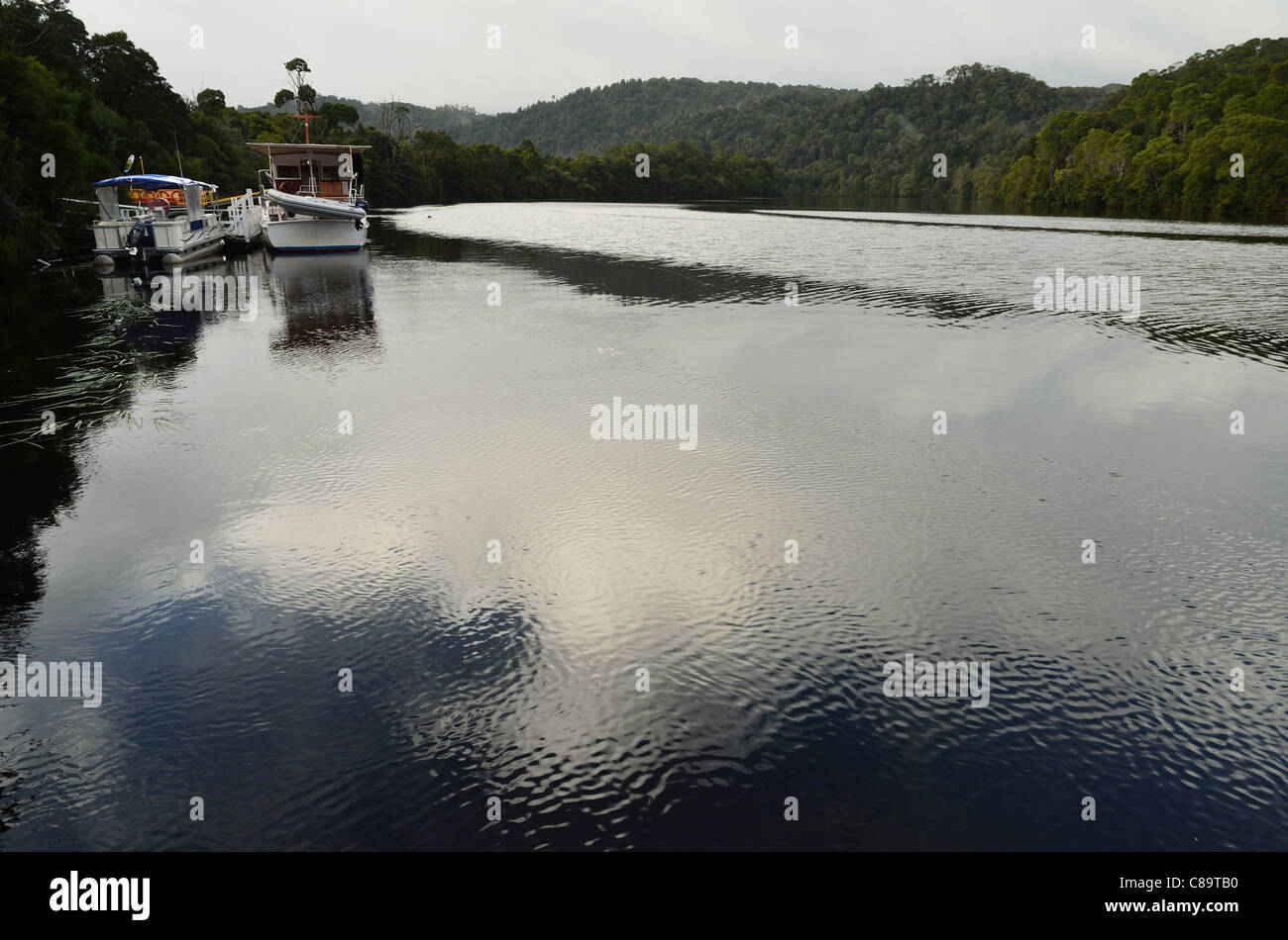 Australia, Tasmania, Arthur Pieman Conservation Area, Corinna, View of ...