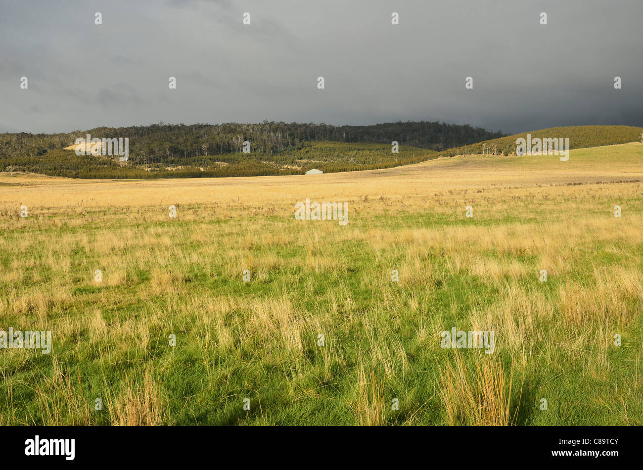 Australia, Tasmania, Ross, View of countryside landscape Stock Photo ...