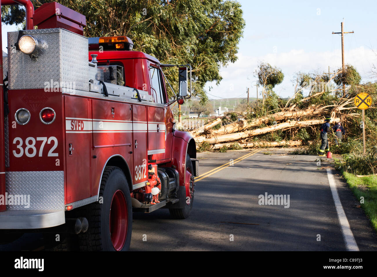 fire truck at scene of fallen eucalyptus tree Stock Photo - Alamy