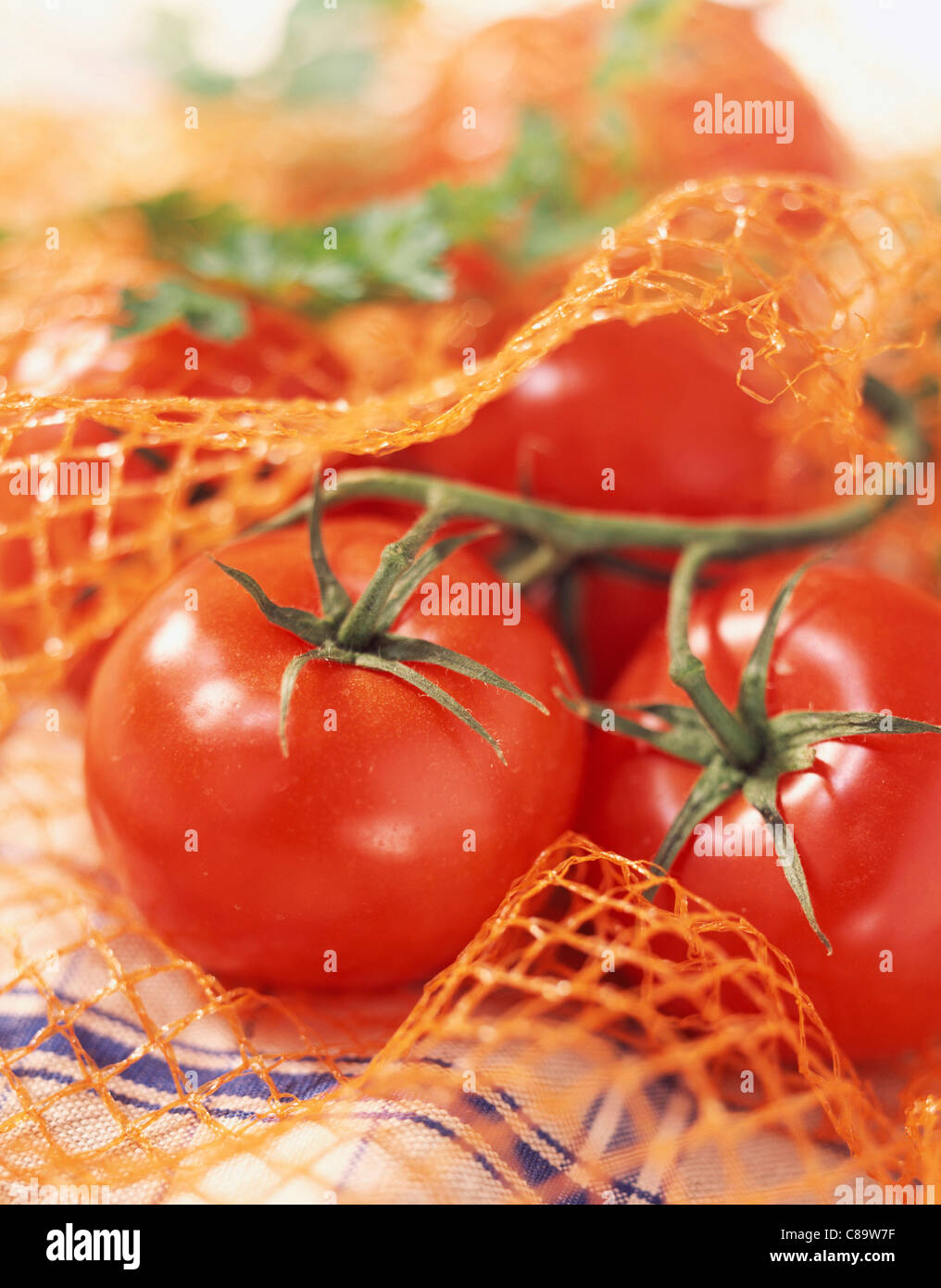 Stem tomatoes and net Stock Photo - Alamy