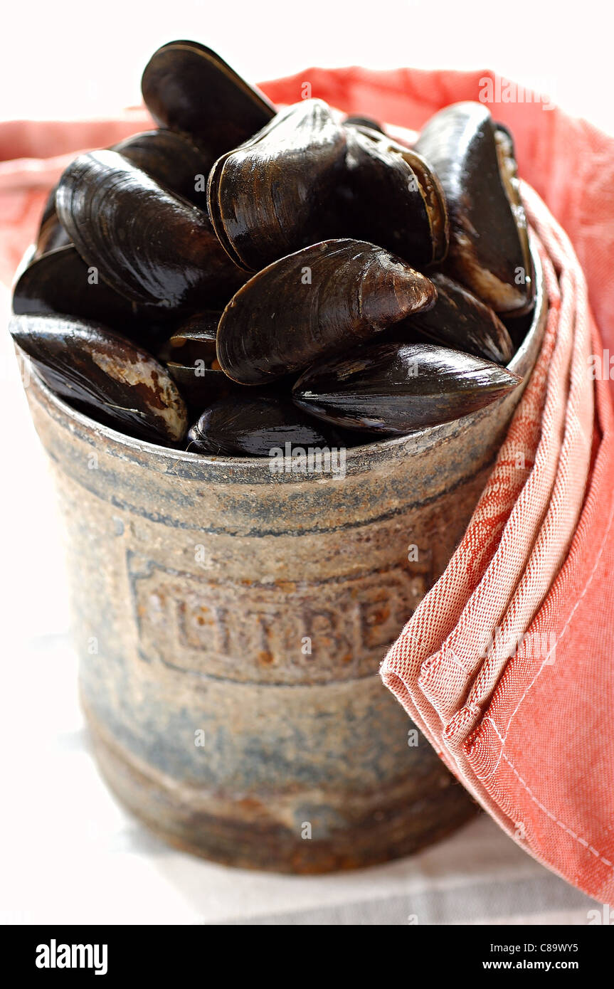 Mussels and bucket hi-res stock photography and images - Alamy