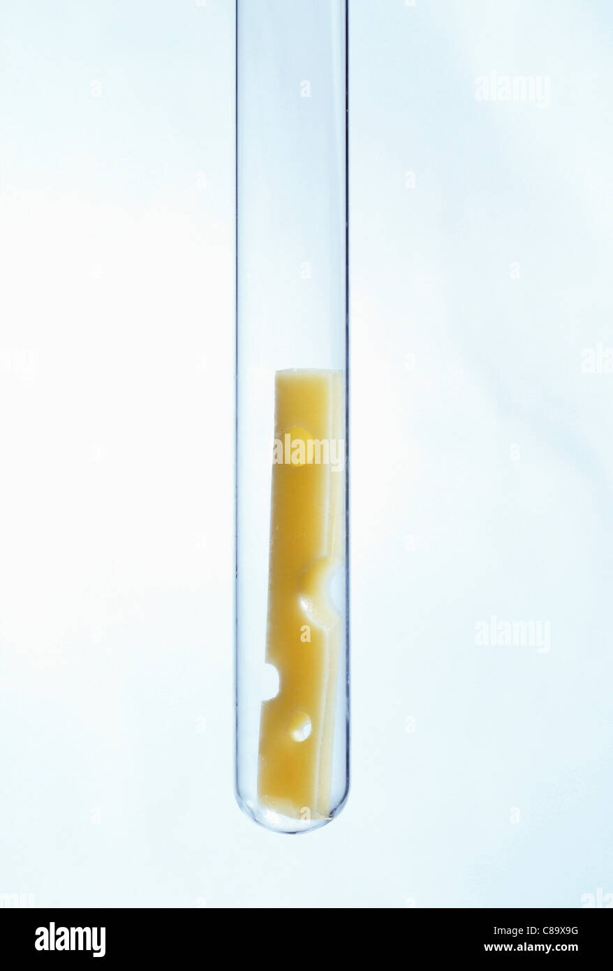 Gruyère cheese in glass tube Stock Photo - Alamy