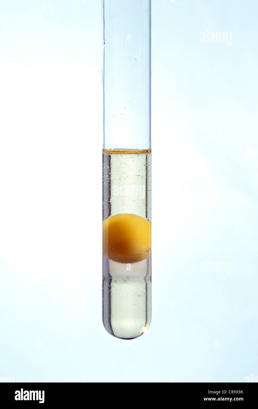 Raw egg in glass tube Stock Photo - Alamy