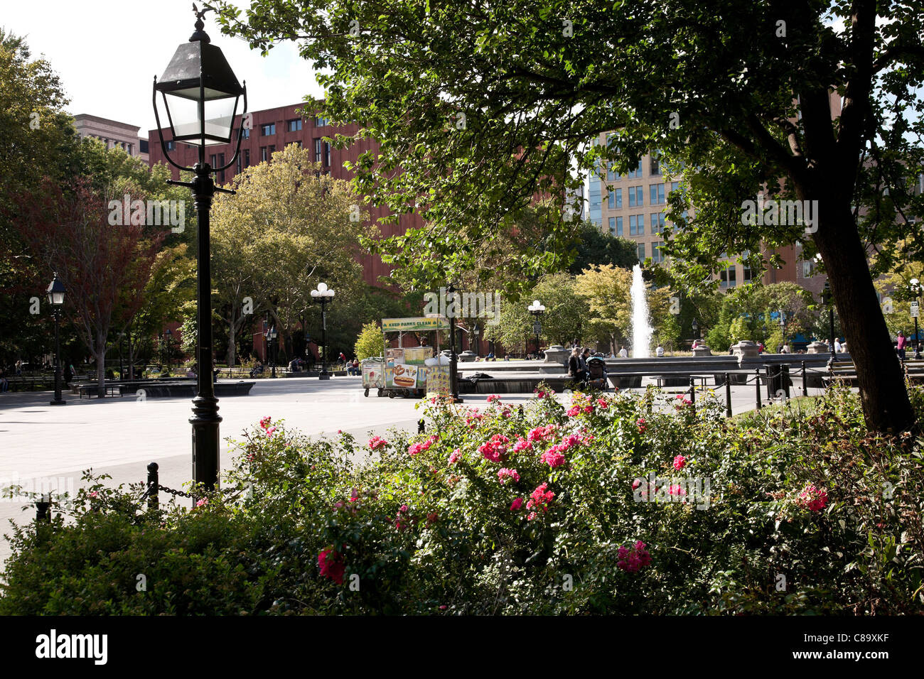 Us pathway paths pathways hi-res stock photography and images - Alamy