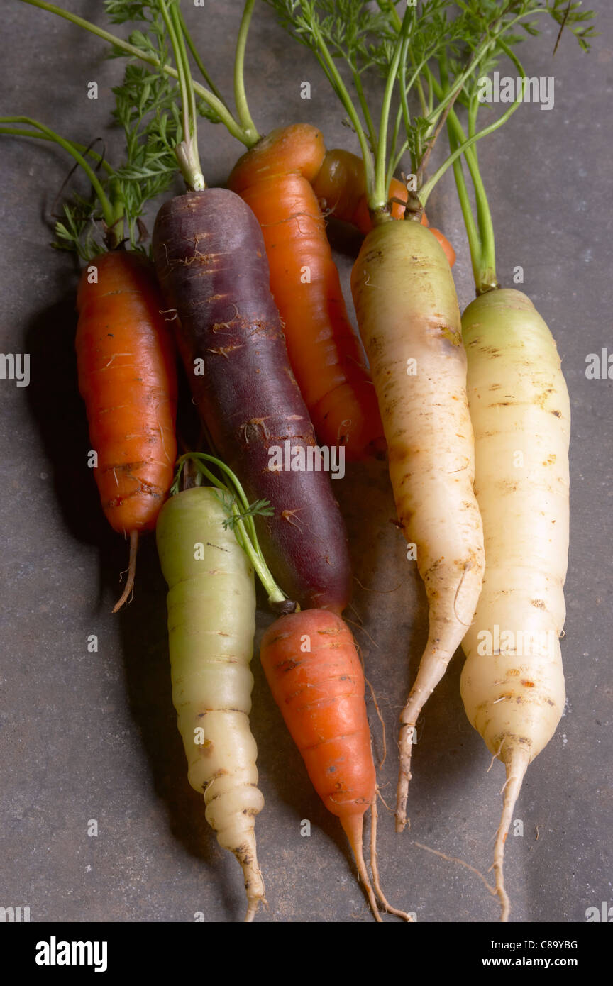 Selection of different types of carrots Stock Photo - Alamy