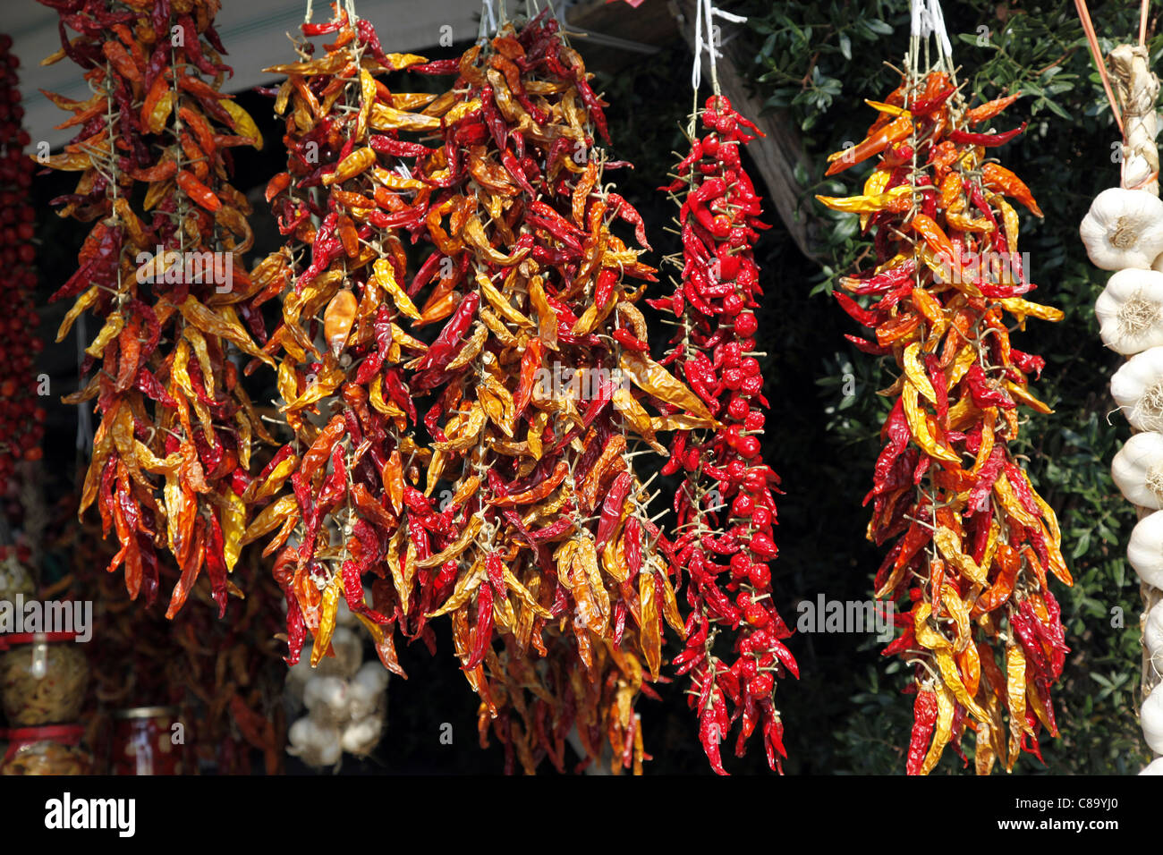 DRIED RED YELLOW & ORANGE CHILI'S HANGING AMALFI DRIVE SOUTHERN ITALY ...