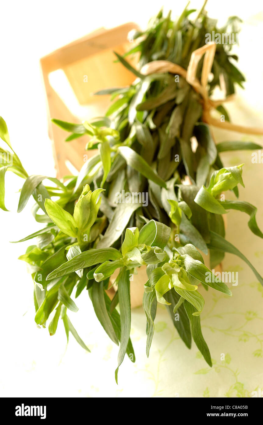 Bunch of tarragon Stock Photo - Alamy