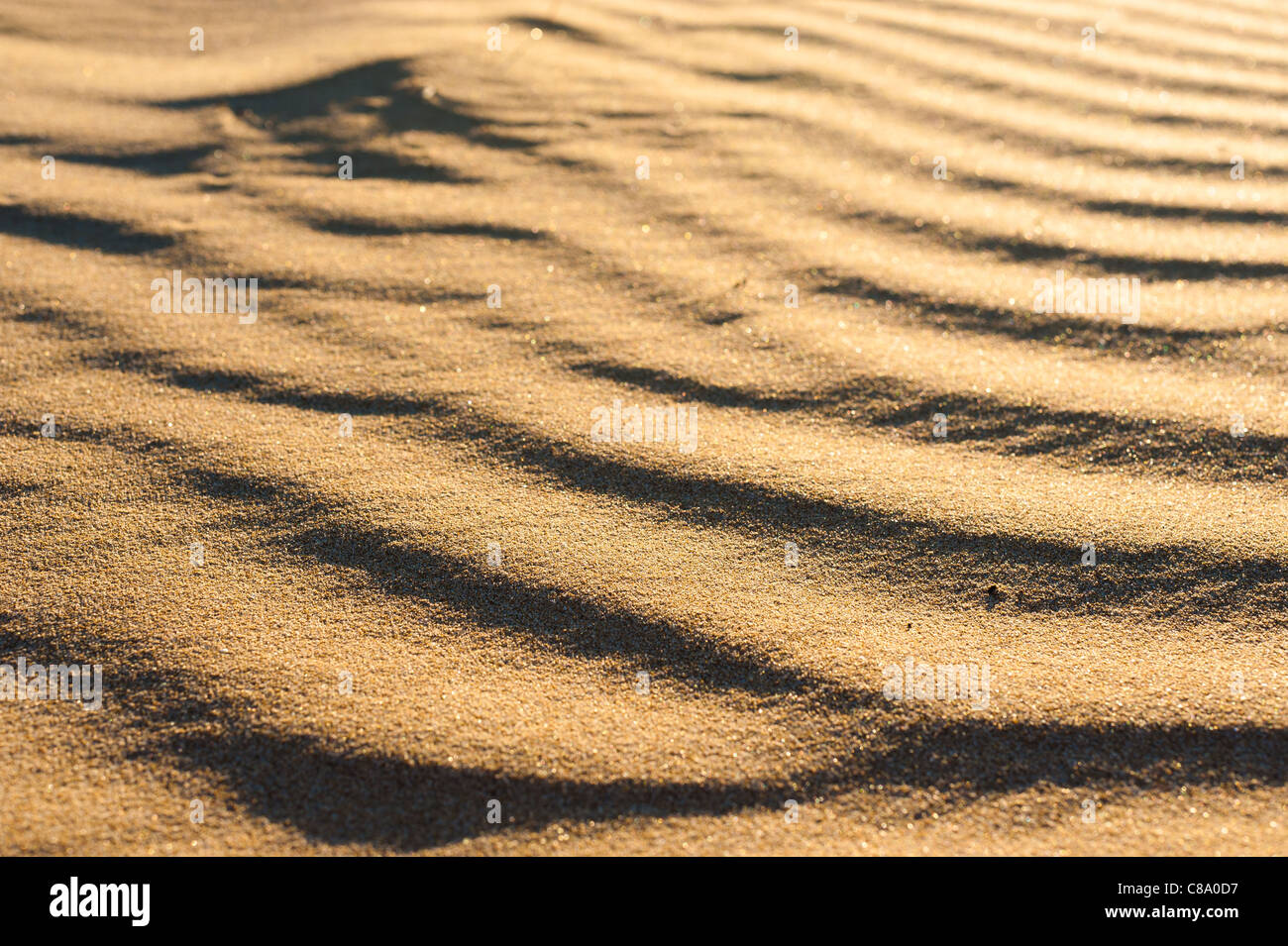 Wavy pattern on a sunlit sand dune Stock Photo - Alamy