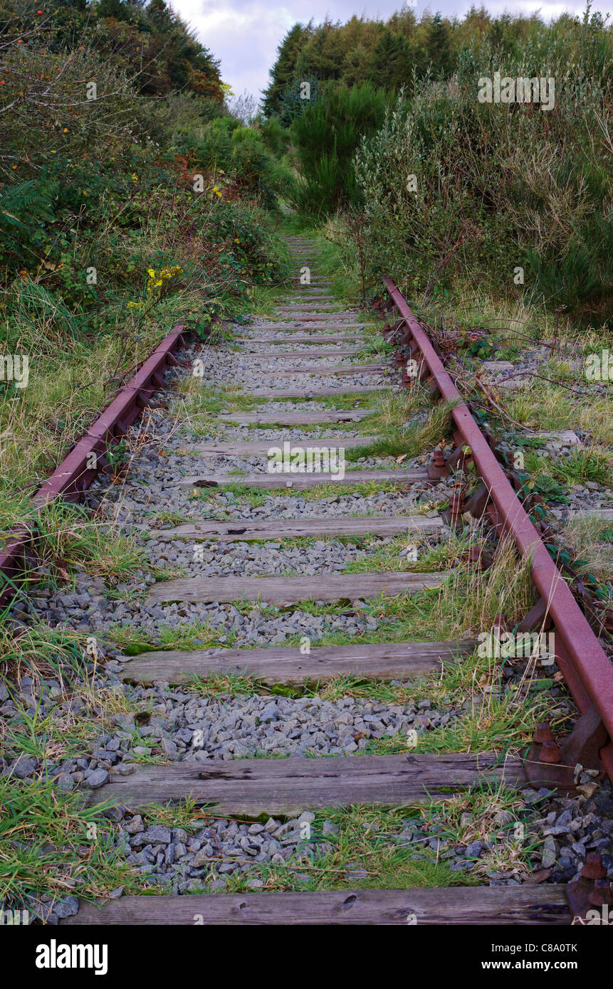 Overgrown railway track hi-res stock photography and images - Alamy